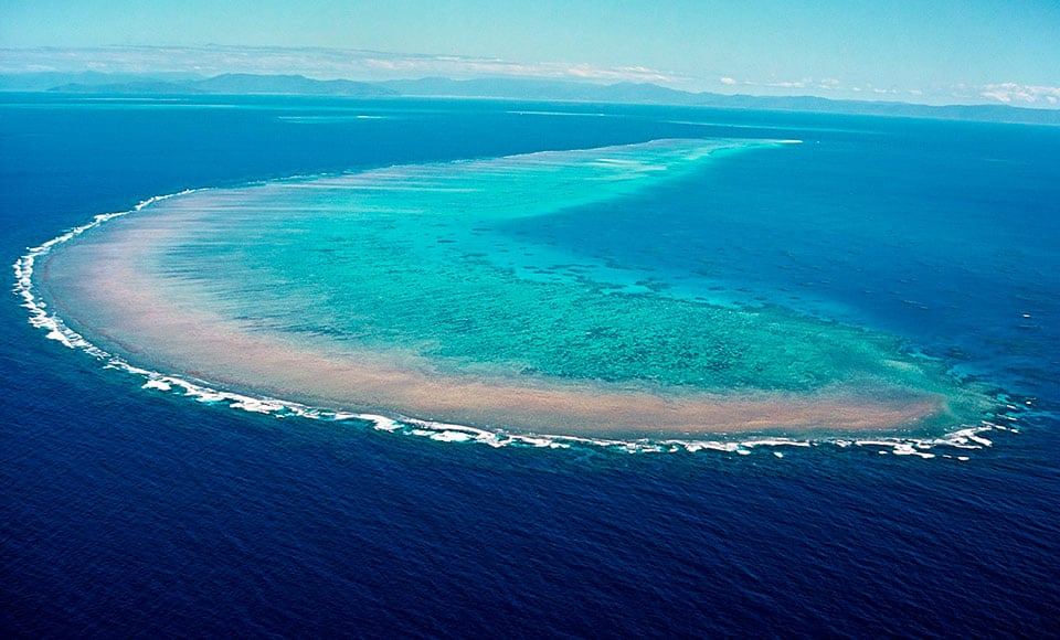 Teka-teki Usia Gugusan Karang Terbesar di Dunia -Great Barrier Reef ...