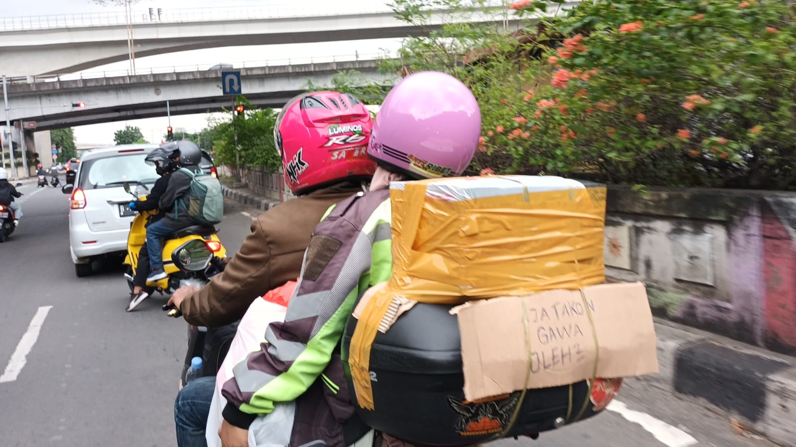 Warna Warni Pemudik Bawa Kucing Peliharaan Pakai Motor hingga Menempel ...