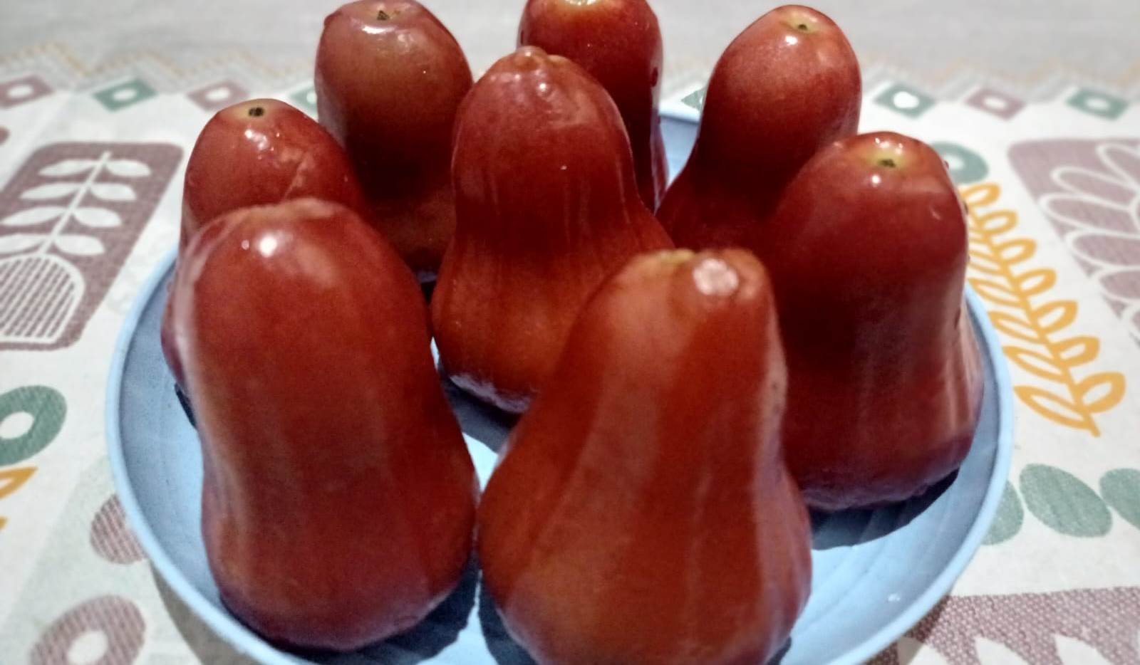 Manfaat Luar Biasa Jambu Air untuk Ibu Hamil: Cegah Anemia hingga Kram ...