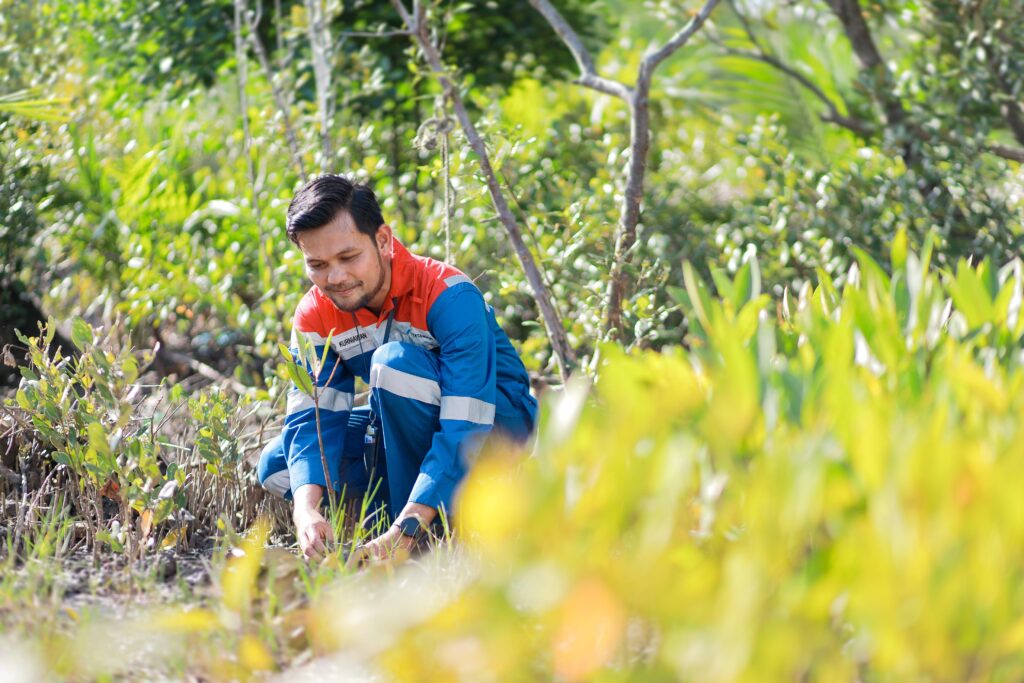 Pertamina & Kementerian Kelautan dan Perikanan Hadir Dalam Pengembangan ...